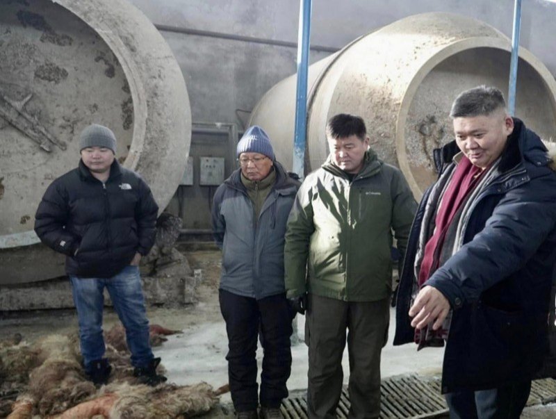 Х Болорчулуун Арьс шир ноос махны кластер үйлдвэрүүдийг хөдөө аж